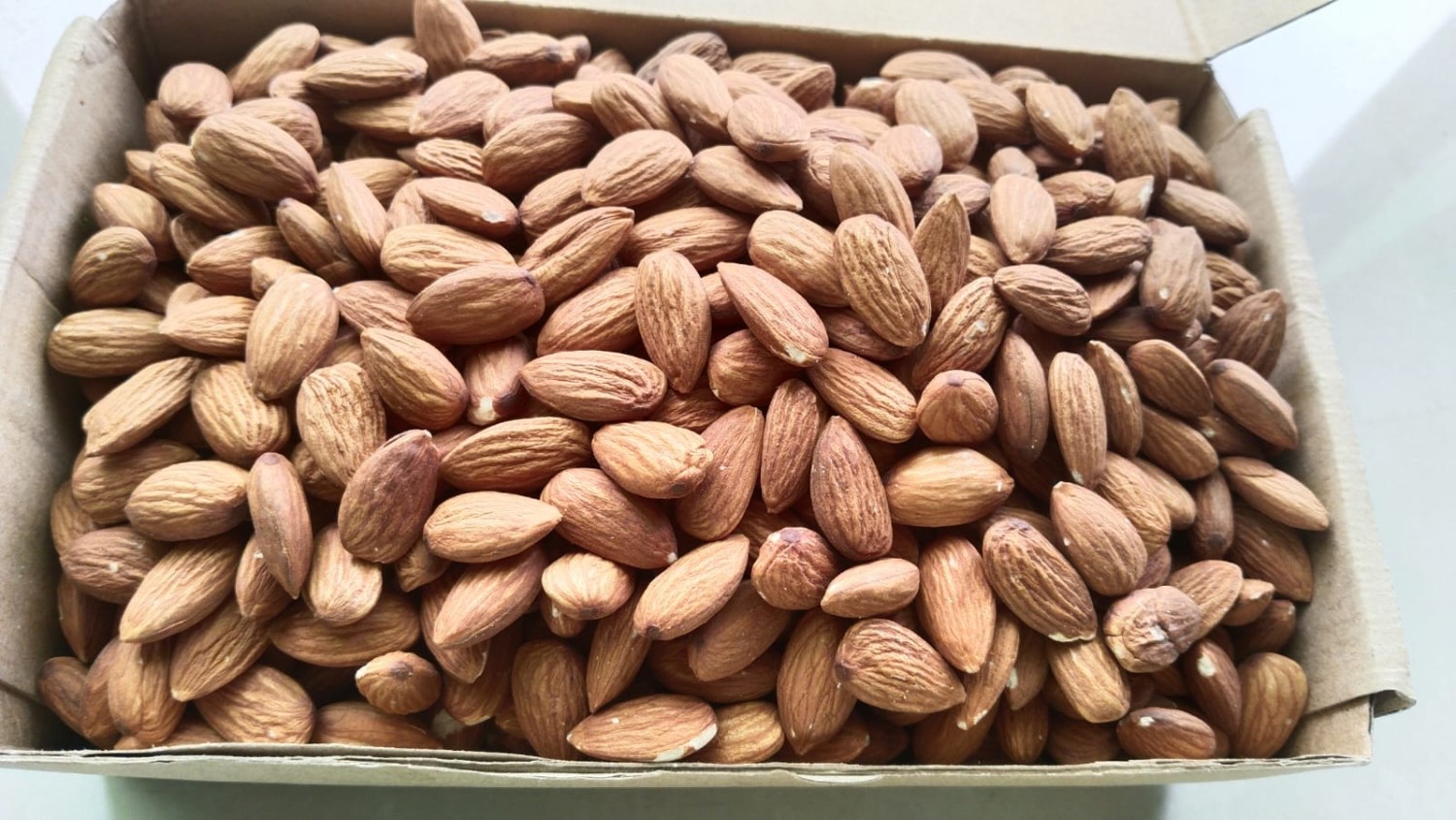 Premium quality Almond